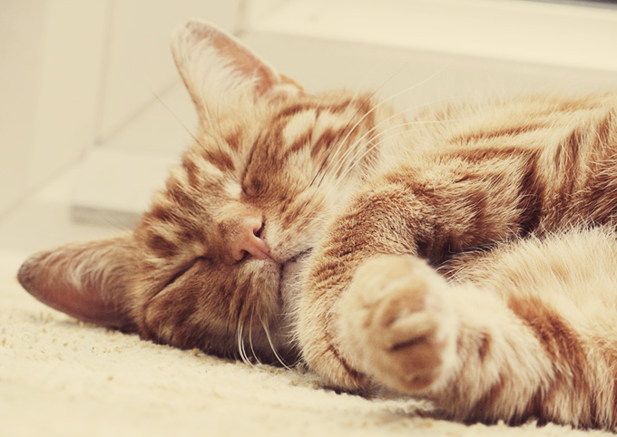 Life At Home | Health For Teens